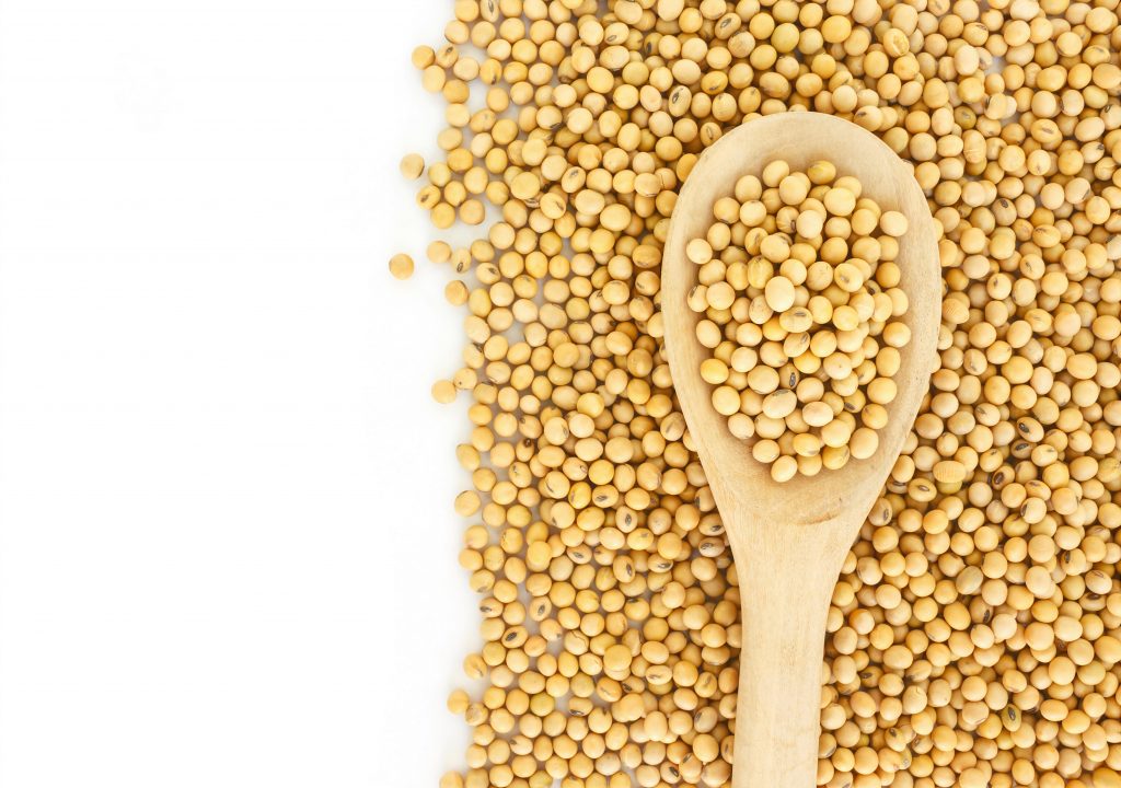 La soja, ¿es un superalimento? – Efikanutrición